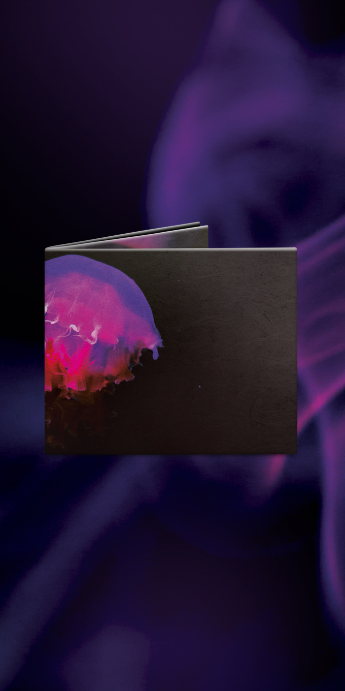 Paper Wallets - Hybride Design