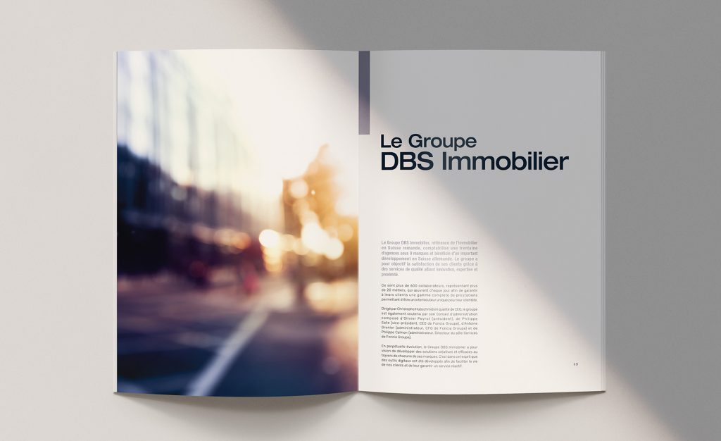 Brochure – DBS-Immobilier - Hybride Design